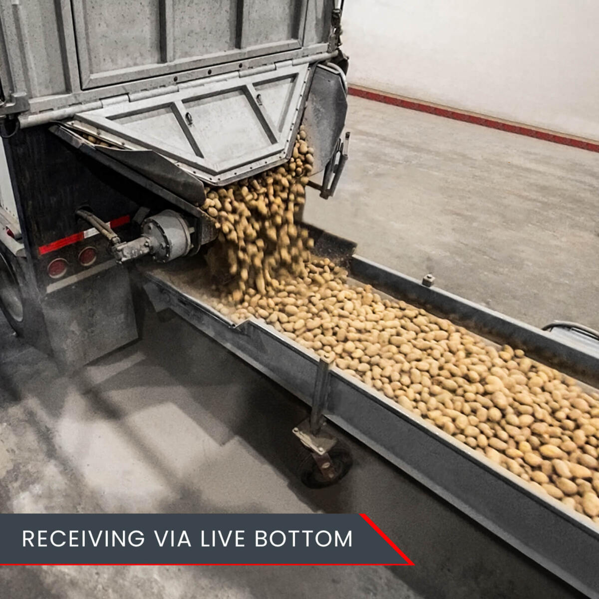 potato – Allround POC