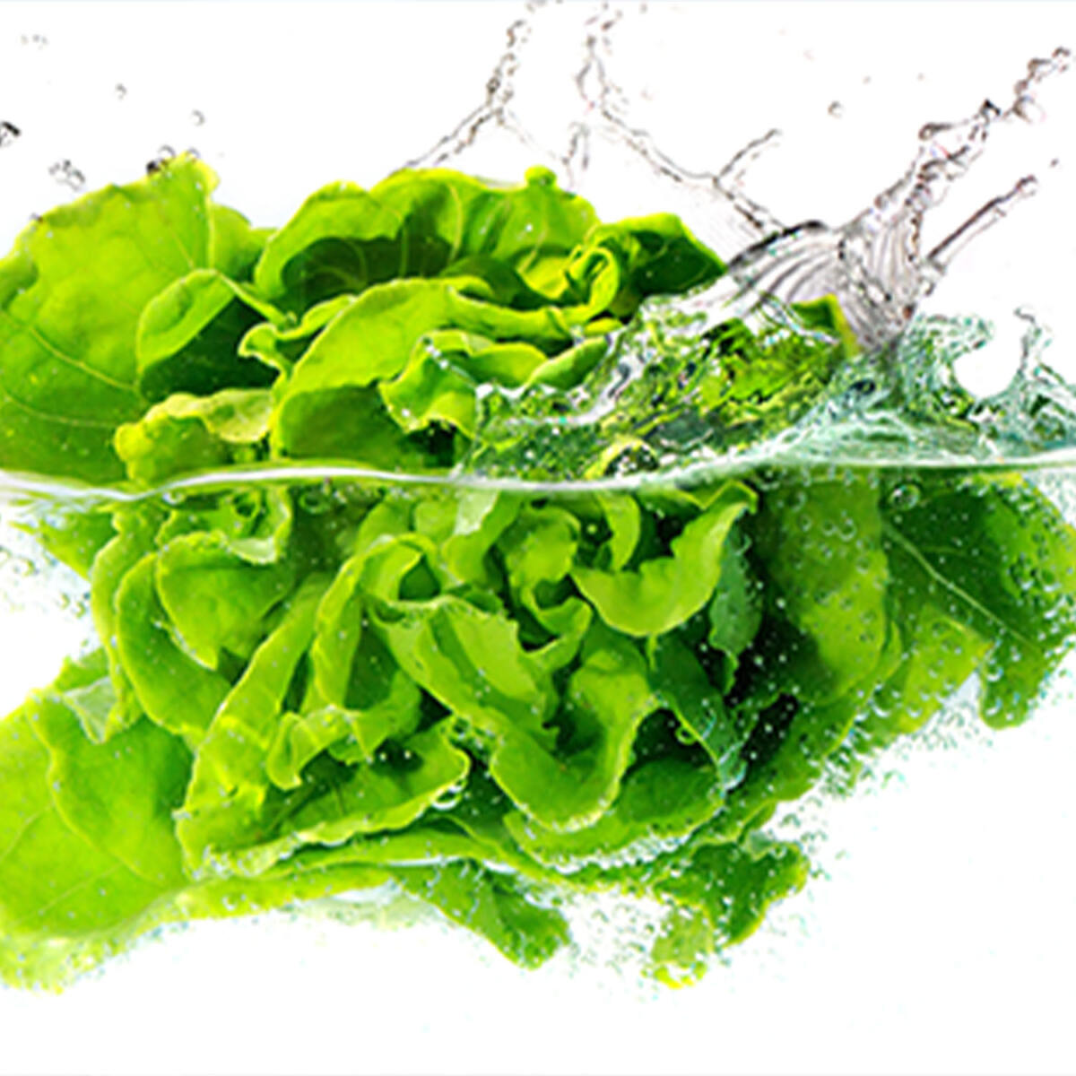 Allround India – Allround POC