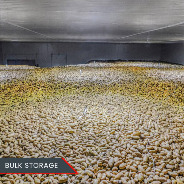 Potato Storage – Allround POC