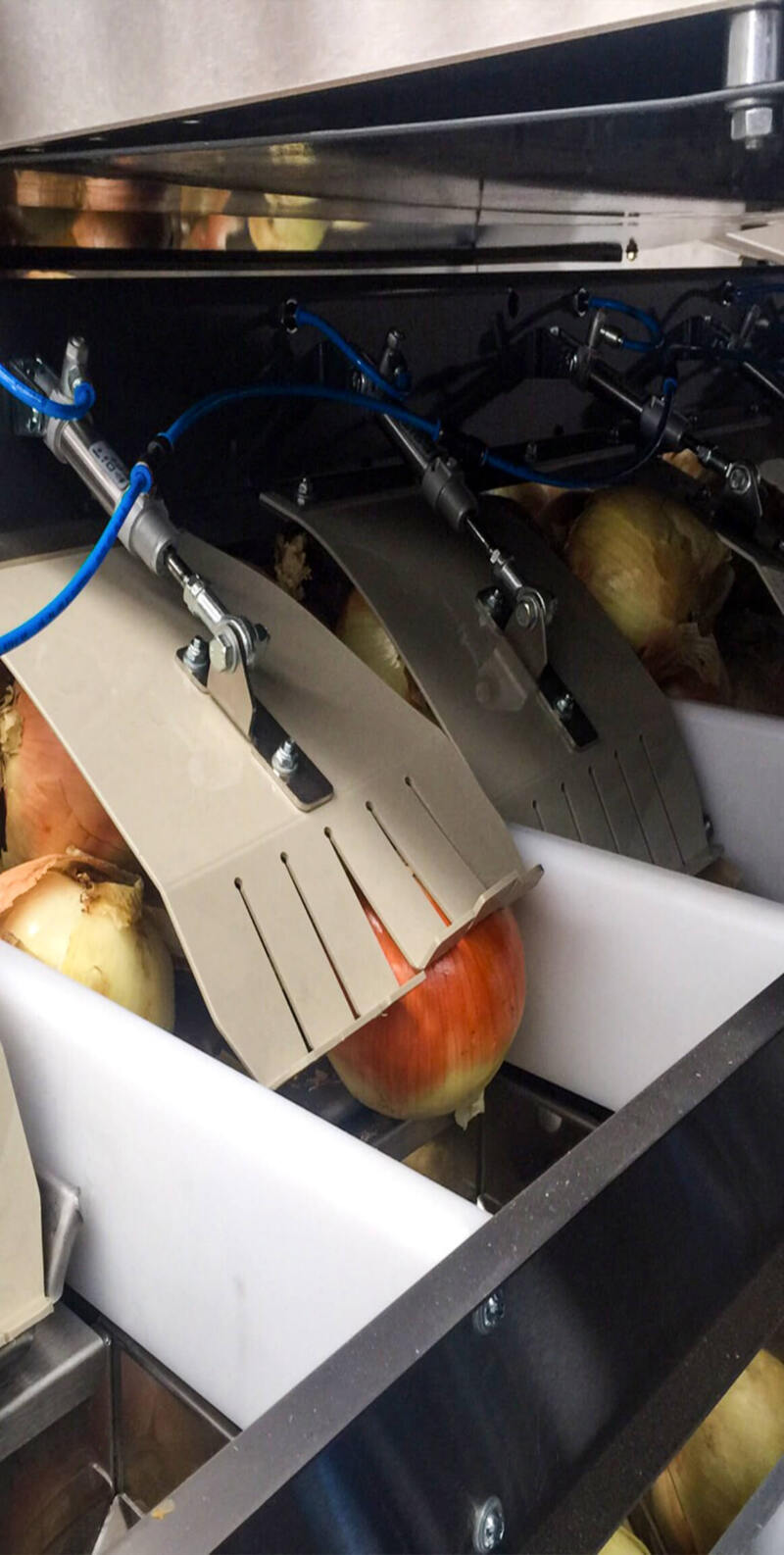 Manter – Allround POC