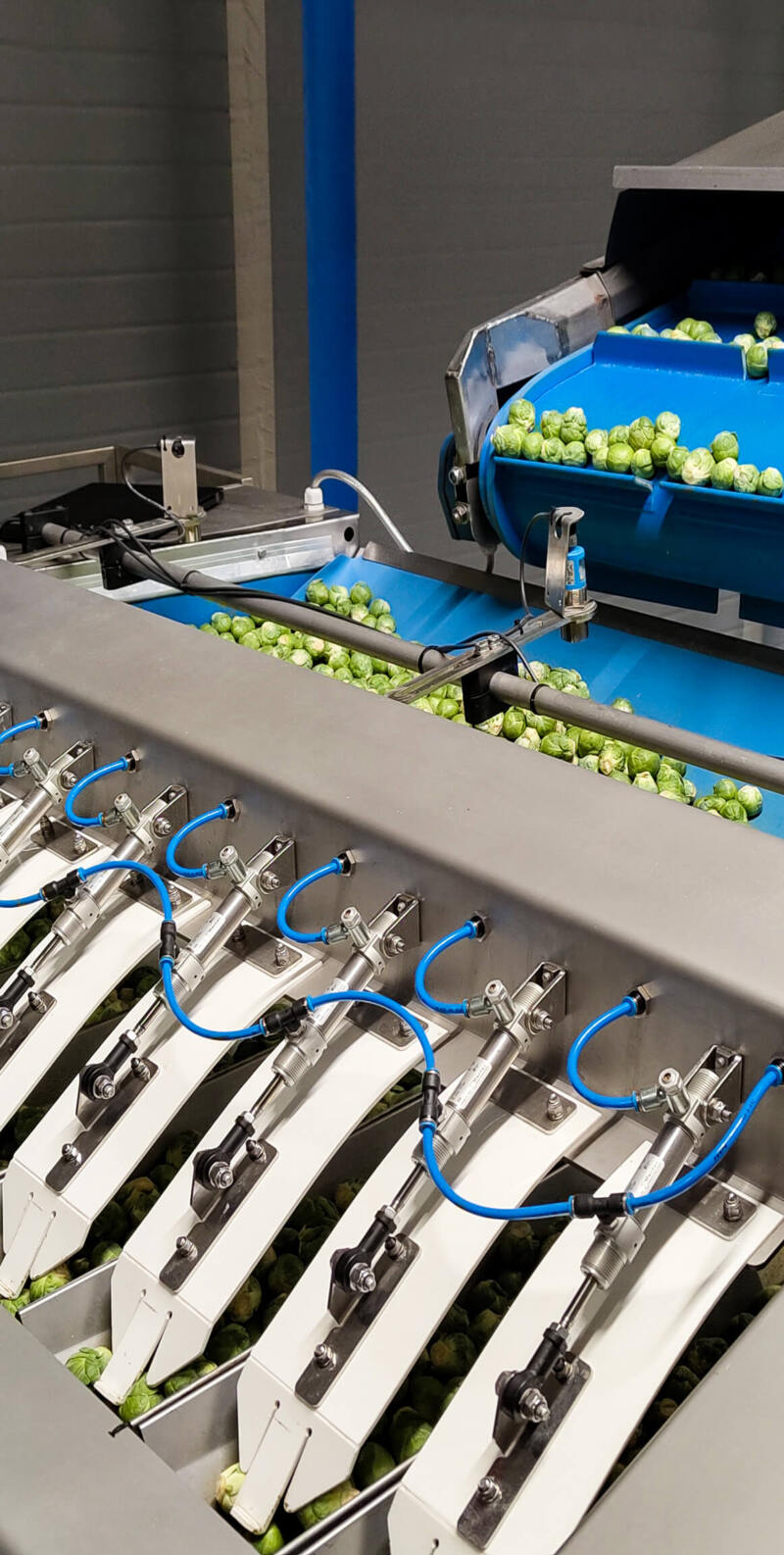 Manter – Allround POC